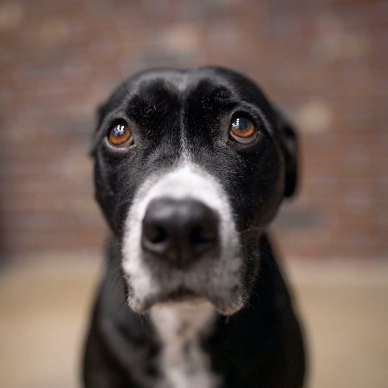 Our Team - Swell Vision Center